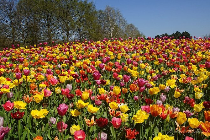 Private Day Trip to Keukenhof Gardens with Entrance Tickets - The Value of Personal Service and Flexibility