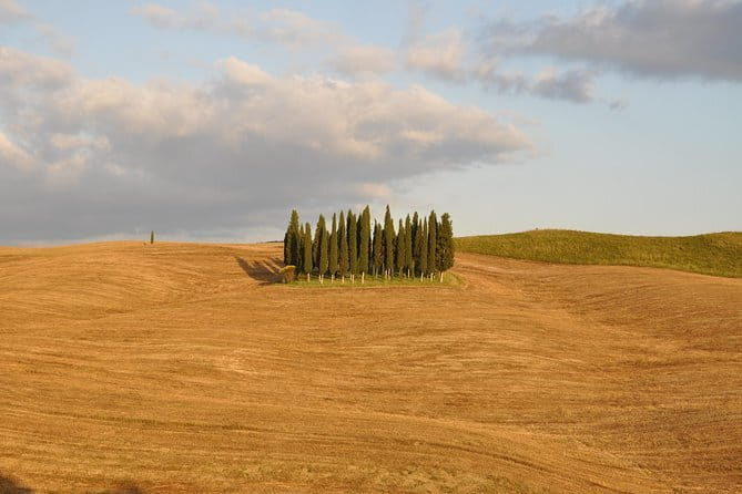 Private Day Trip to Montalcino and Montepulciano from Florence - What Makes This Tour Special?