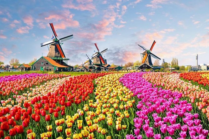 Private Day Trip to Zaanse Schans, Volendam & Marken from Amsterdam - Key Points