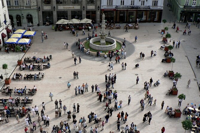 Private Direct Transfer From Vienna Airport to Bratislava - Key Points