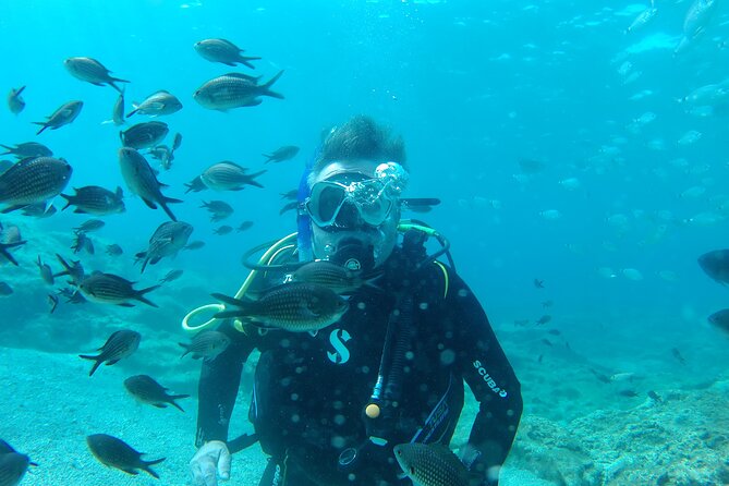 Private Diving Cyprus Experience Protaras and Ayia Napa & Turtles - Value and Practical Considerations