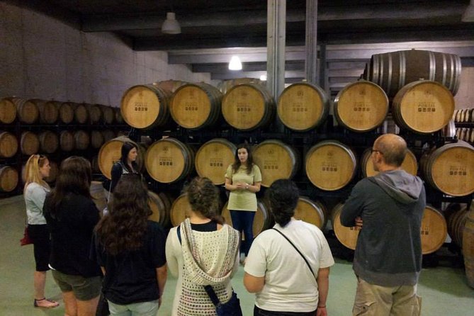Private Douro Valley Wine Tour: 2 Wine Estates, Lunch and Cruise - Unpacking the Itinerary: What to Expect