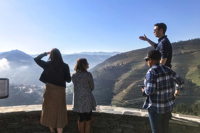Private Douro Valley Wine Tour + Lunch and Boat Cruise - An In-Depth Look at the Douro Valley Wine Tour