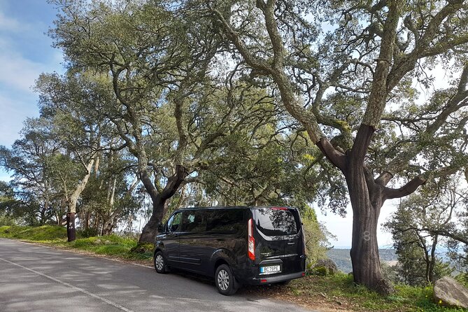 Private Driver From Lisbon to Algarve By 8 Seats Minibus - The Transfer Experience: A Detailed Breakdown