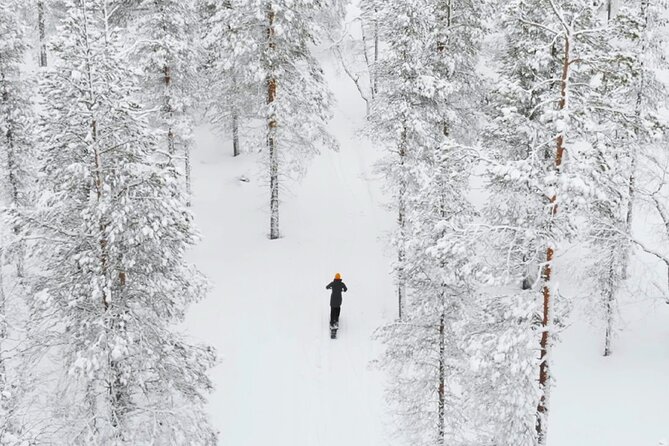 Private Driving Snow Scooters Experience in Finland - Introduction to the Tour