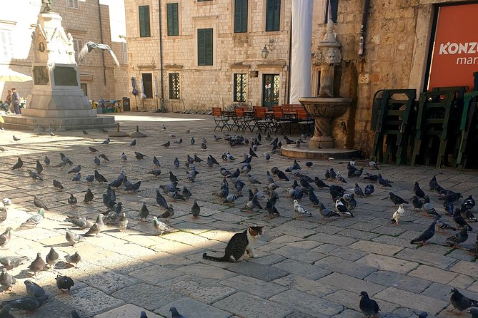 Private Early Morning Dubrovnik Tour - An In-Depth Look at the Dubrovnik Private Morning Tour