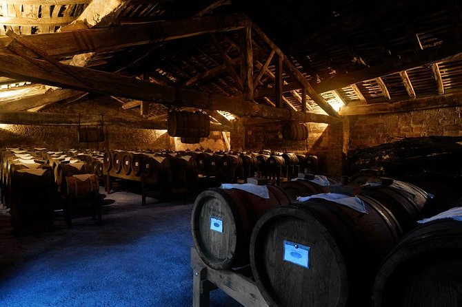 Private Emilia Romagna Food Tour Full Day - The Itinerary in Detail