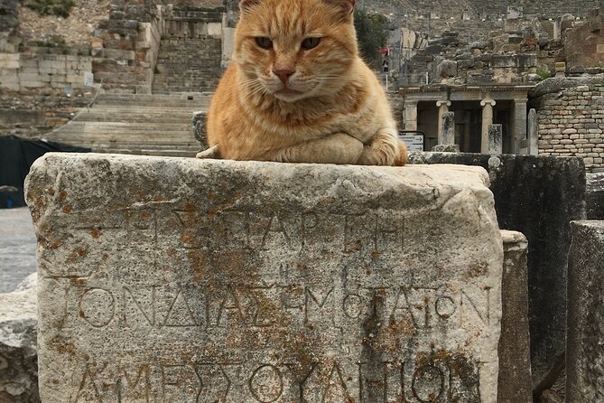 Private Ephesus Tour from zmir Çeme Port and Hotels - A Closer Look at the Itinerary