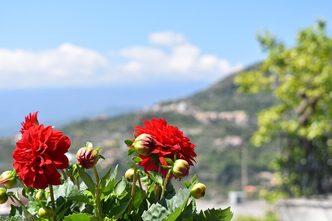Private Etna tour with lunch in traditional "Trattoria" with organic food - A Closer Look at the Mount Etna Private Tour