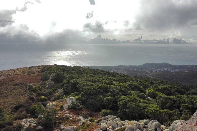 Private Evening Walk Inside the Forest: "Sintra Mountains Inbetween Wolves" - The Itinerary: From Sunlight to Starlight