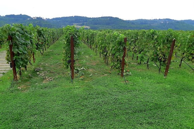 PRIVATE EXCURSION: Visit Siena & Chianti with lunch and tastings - Overview of the Tour Experience