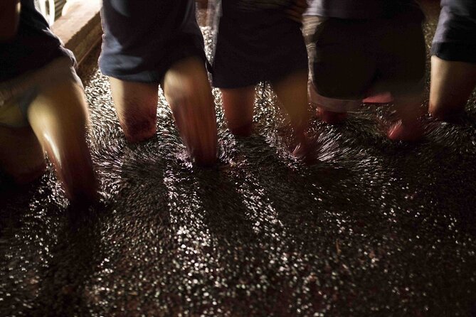 Private Full Day Douro Tour with Lunch - Discovering the Douro Valley: What To Expect