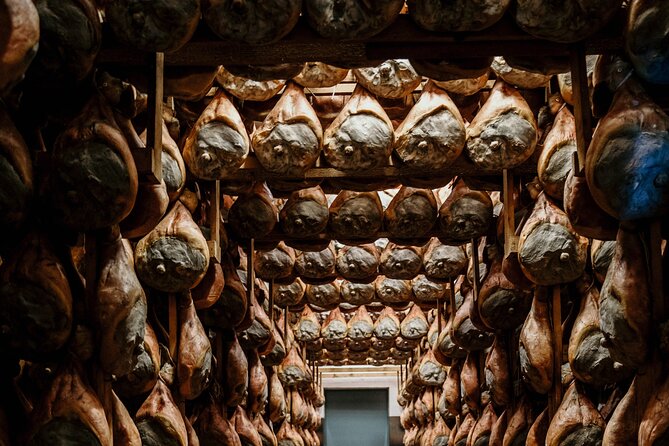 Private Full Day Parma Food Tour: Parmesan Cheese, Parma Ham, Lunch, Vinegar - A Deep Dive into the Parma Food Tour