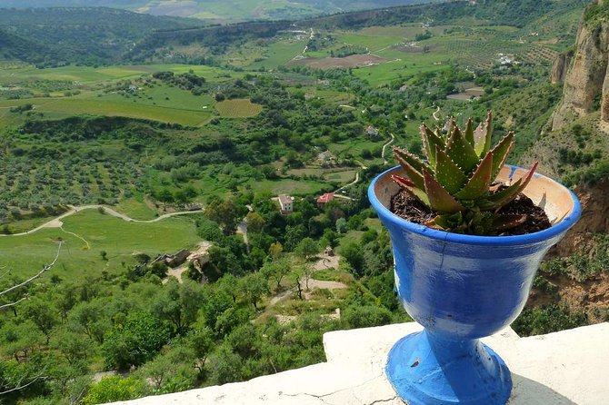 Private Full-Day Tour of Ronda from Malaga with Hotel pick up and drop off - The Value of This Tour