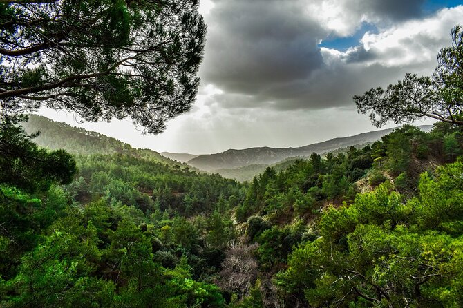 Private Full-Day Tour to Cyprus Monasteries - What Makes This Tour Stand Out