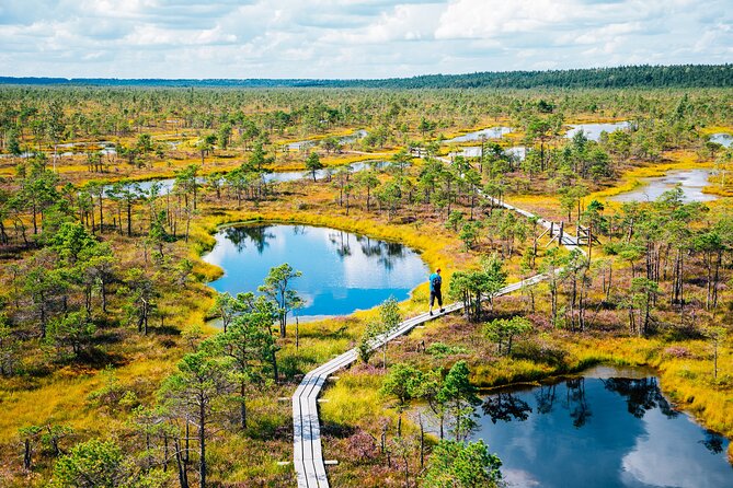 Private Full-Day Trip to Jurmala and Great Kemeri Bog Boardwalk - Key Points