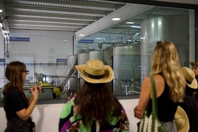 Private Full Day Wine Tasting Tour from Lisbon to Setubal - Key Points