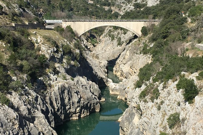 Private full day wine tour and Medieval Village from Montpellier - Key Points