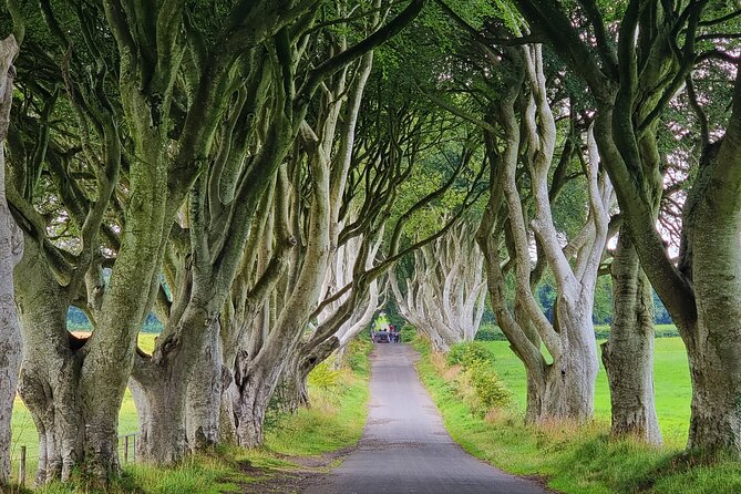 Private Giants Causeway Express Tour - The Journey Begins: A Scenic Drive from Belfast