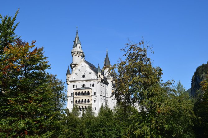 Private Guided Day Trip to Castle Neuschwanstein incl. Carriage Horse Ride - Transportation and Guide Quality