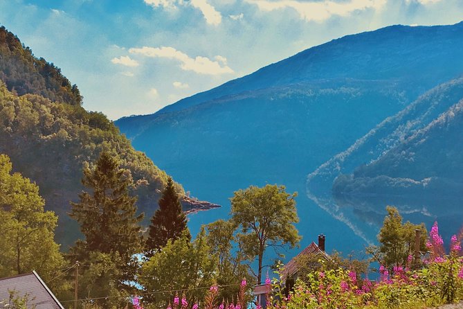 PRIVATE GUIDED TOUR: Highlights of Norway  Trip to the Sognefjord  SUMMER - Key Points