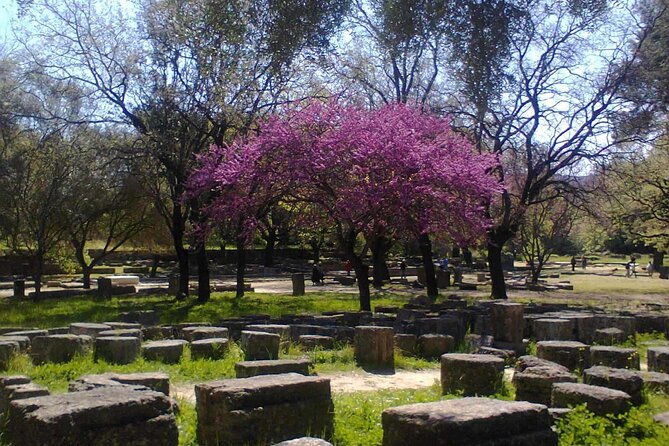 Private Guided Tour of the Archaeological Site and Museum of Olympia - Exploring the Archaeological Site of Olympia