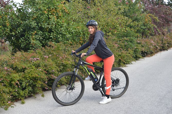 Private guided tour on Lake Como by e-bike - The Route and What to Expect