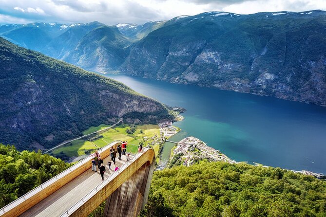 Private guided tour - Premium Nærøyfjord Cruise and Flåm Railway - Overview of the Tour Experience