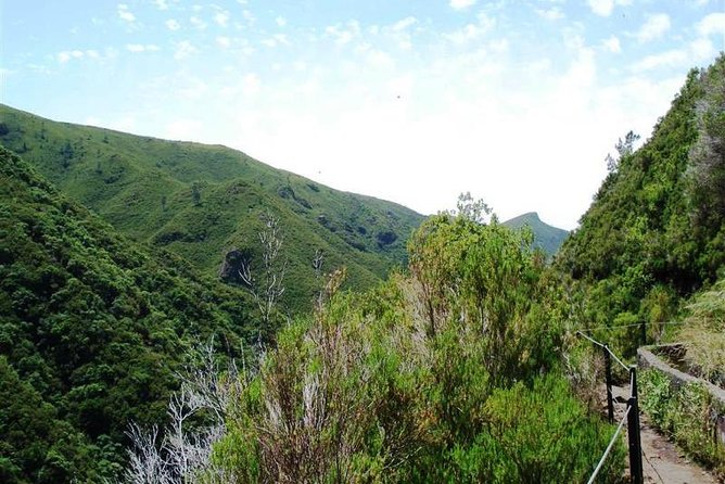 Private Guided Walk Levada 25 Fontes - Exploring Madeira’s Natural Wonder: The 25 Fontes Levada Walk
