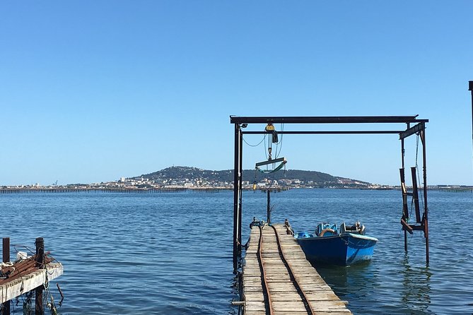 Private Half-Day Languedoc Wine and Oyster Tour from Sète - Pricing and Value