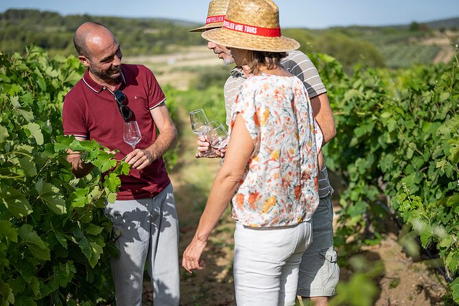 Private Half-Day Languedoc Wine Tour from Sète - What Makes This Tour Stand Out?