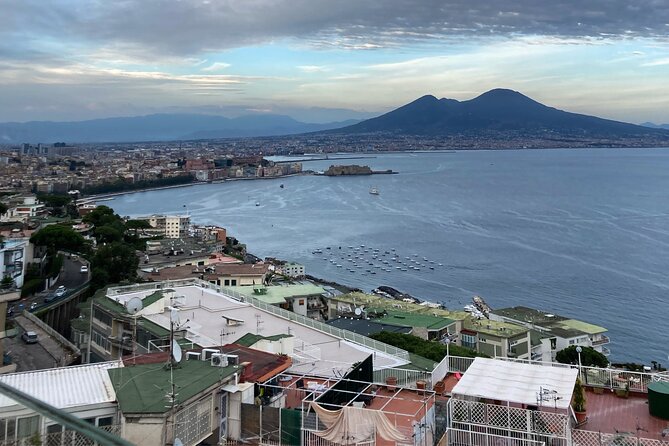 Private Half-Day Sightseeing Tour of Vesuvius National Park - In-Depth Look at the Itinerary