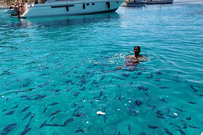 Private Half Day Speedboat tour to Kornati National Park - Navigating the Kornati Islands: What to Expect on Your Speedboat Trip