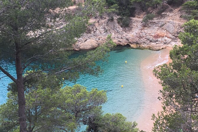 Private Half Day Tour in Monserrat with Driver - A Deep Dive into the Montserrat Private Tour