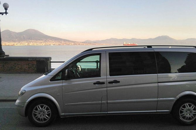 Private Half-Day Tour of Mt. Vesuvius - The Pros and Cons of This Private Transfer