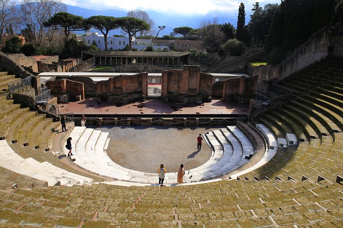 Private Half-Day Tour of The Pompeii Ruins Highlights and Mann - Who Will Benefit Most from This Tour?