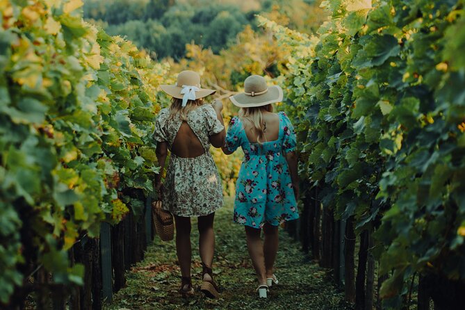 Private hedonistic food and wine experience from Zagreb - A Taste of Croatia’s Charm: What Makes This Tour Special