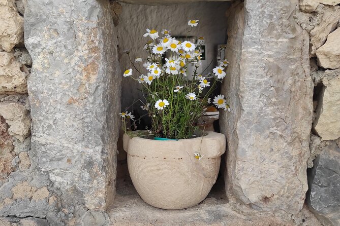 Private History, Sights, and Food Walking Tour of Chania City - Exploring Chania’s Historic Heart