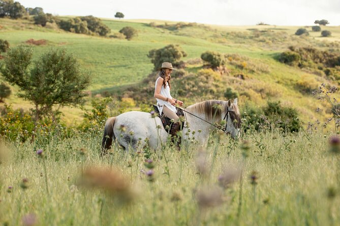 Private Horse Riding Adventure in Tbilisi - What to Expect from the Horse Riding Adventure in Tbilisi