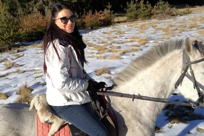 Private Horseback Riding the Rila Range - An In-Depth Look at the Horseback Ride Experience