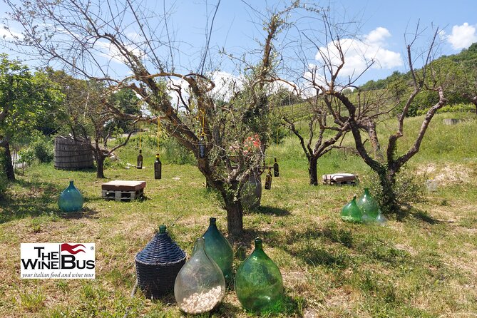 Private Irpinia Wine Tour from Sorrento with sommelier - What Makes This Tour Stand Out?