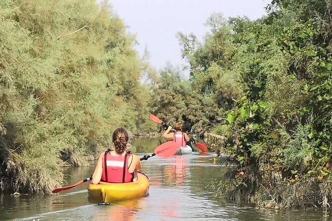 Private Kayak Tour in the Venetian Lagoon - The Practical Side: Logistics, Pricing, and Tips