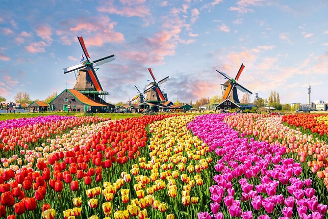 Private Keukenhof Tulip Fields Tour From Amsterdam(Skip-The-Line) - Key Points