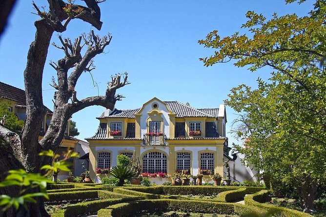 Private Lisbon wine tasting tour in the Setubal region - Key Points