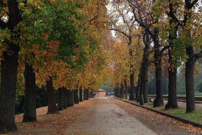 Private Lucca Wine Tour: 2 Wineries with Lunch - A Detailed Look at the Tour Experience