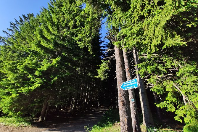Private Mountain Biking in Vitosha from Sofia - The Sum Up