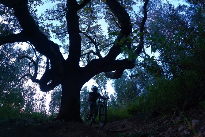 Private MTB Enduro Trail Tour in Sintra - Cascais Natural park - An Introduction to the Experience