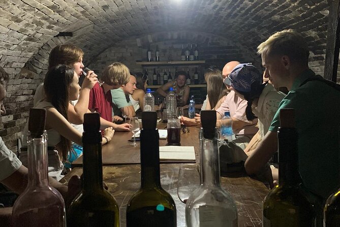 Private Novi Sad, Titanic wine tasting and Farmer's House - A Closer Look at the Itinerary