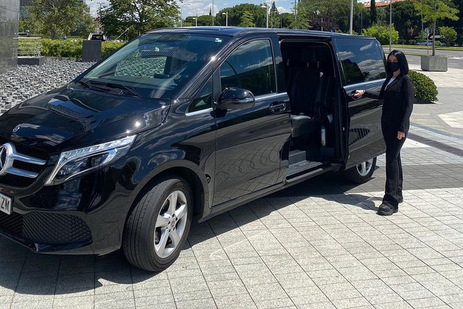 Private one way Tranfer from/to Rome to/from Civitavecchia - An in-depth look at this private transfer service
