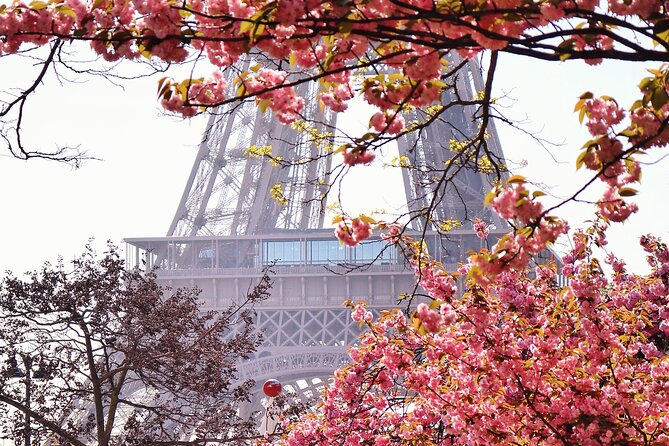 Private Photo Tour in Paris with a Professional Photographer - An In-Depth Look at the Private Paris Photo Tour